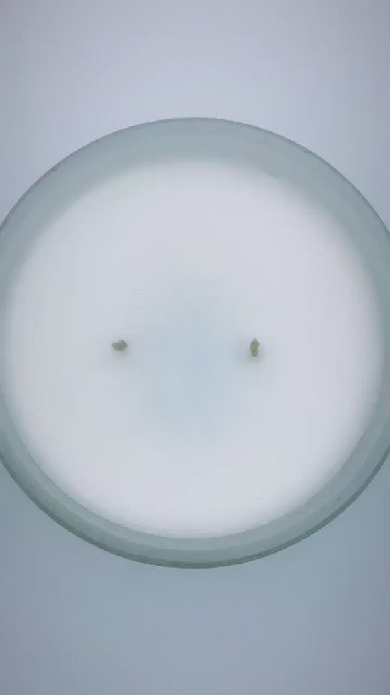 Infused Evil Eye Candles & Diffusers – WICKER & FLAME